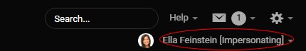 What is User Impersonation and how do I impersonate a User? : Support ...