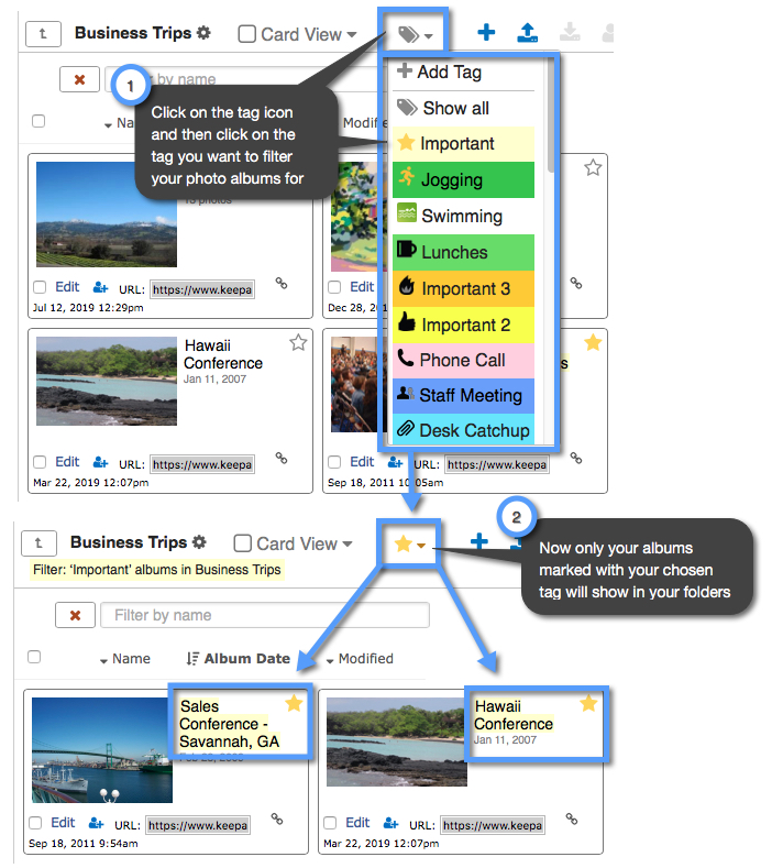 What are photo tags? : Support Portal