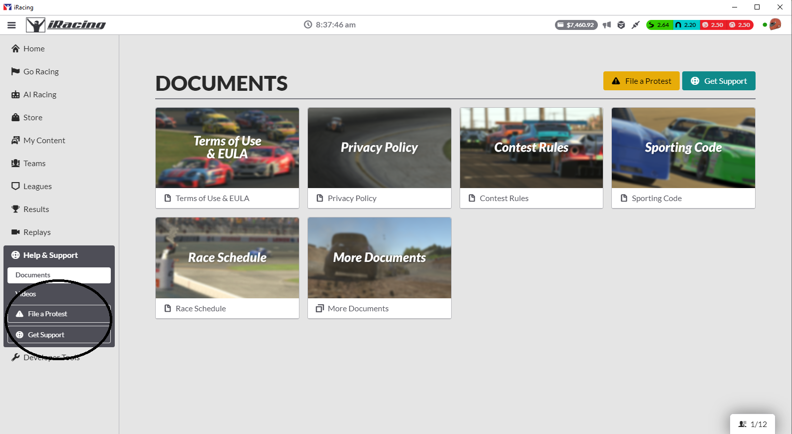 Iracing file protest
