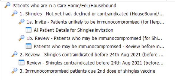 Shingles Eligibility Searches : Ardens EMIS Web