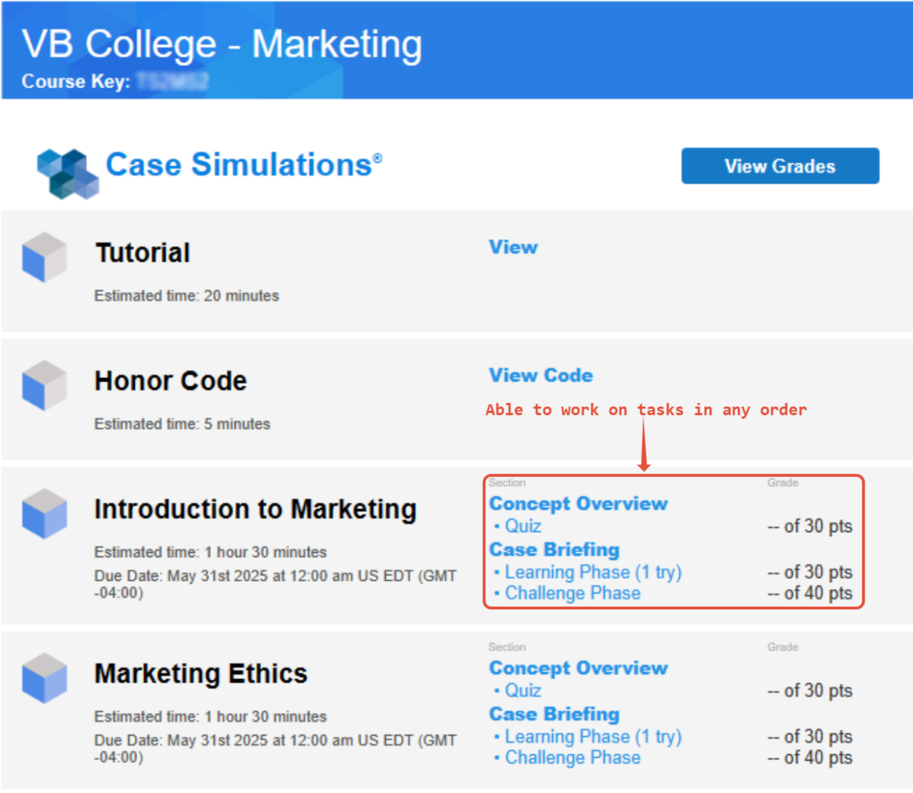 Simulations - Previewing Your Course