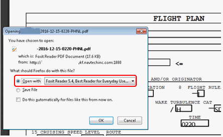 CA48 - ATC ICAO Form : N-Flight Planning