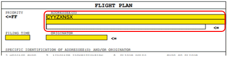 CA48 - ATC ICAO Form : N-Flight Planning