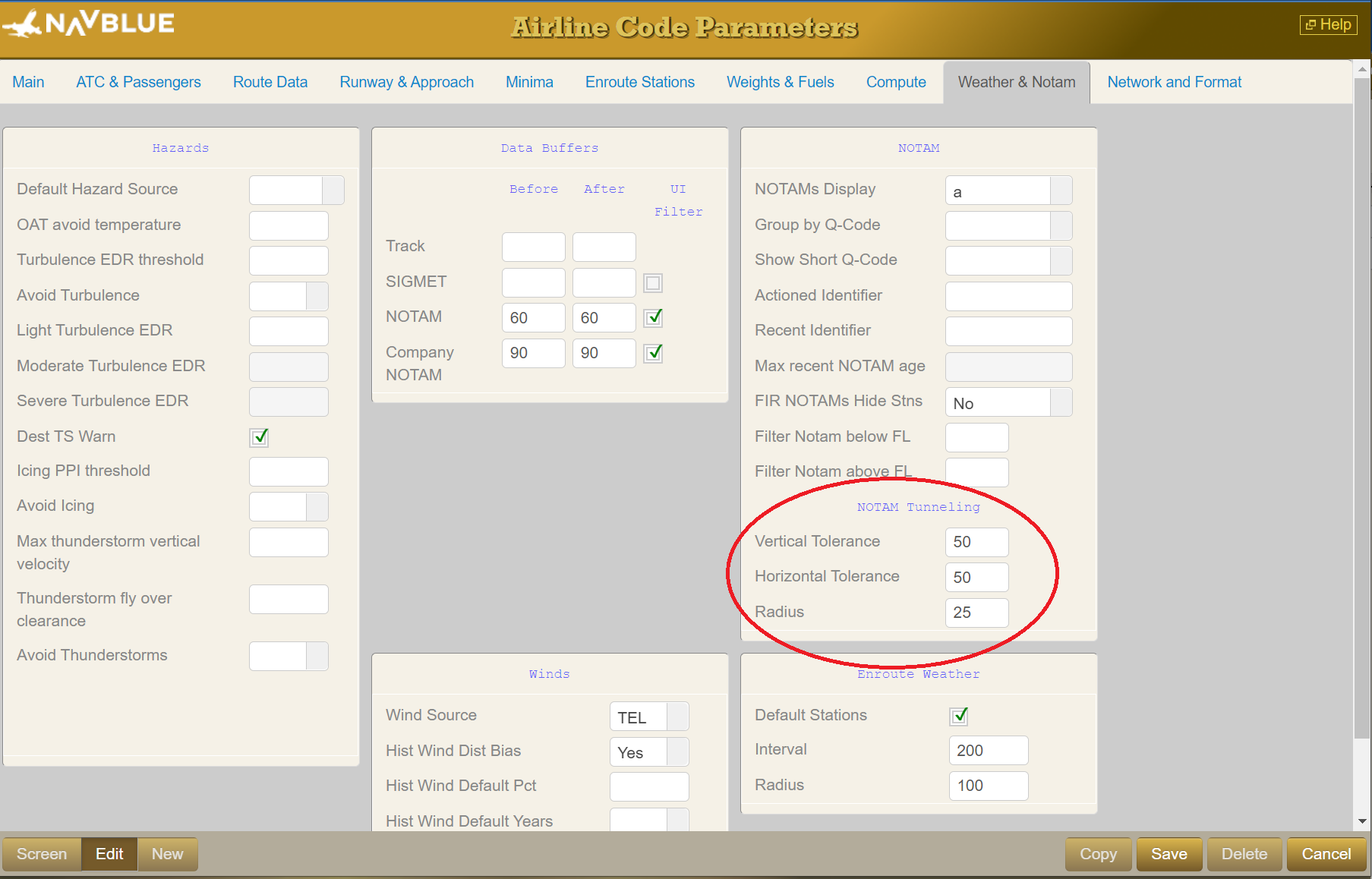 Weather & Notam Tab : N-Flight Planning