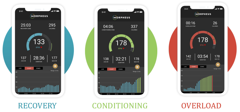 Morpheus Heart Rate Zones : Morpheus