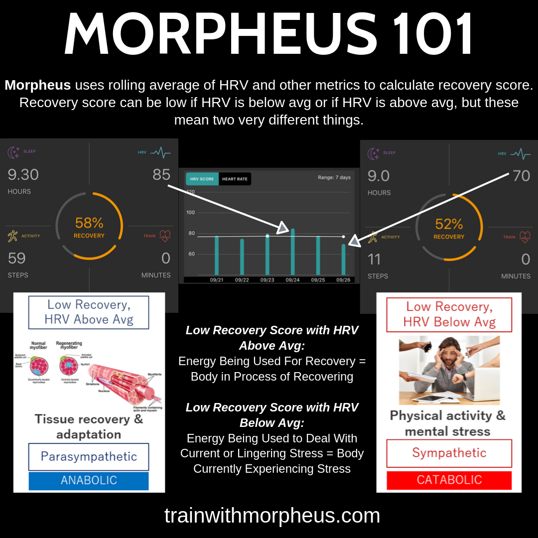 Recovery Methods and Misconceptions : Morpheus