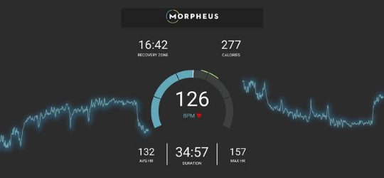 Morpheus Heart Rate Zones : Morpheus