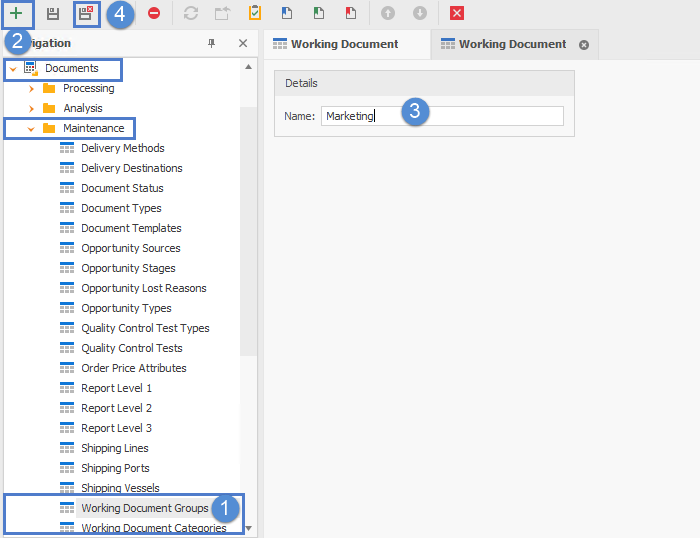 Setup of Predefined Fields for Working Documents : Paradigm Software and Hosting