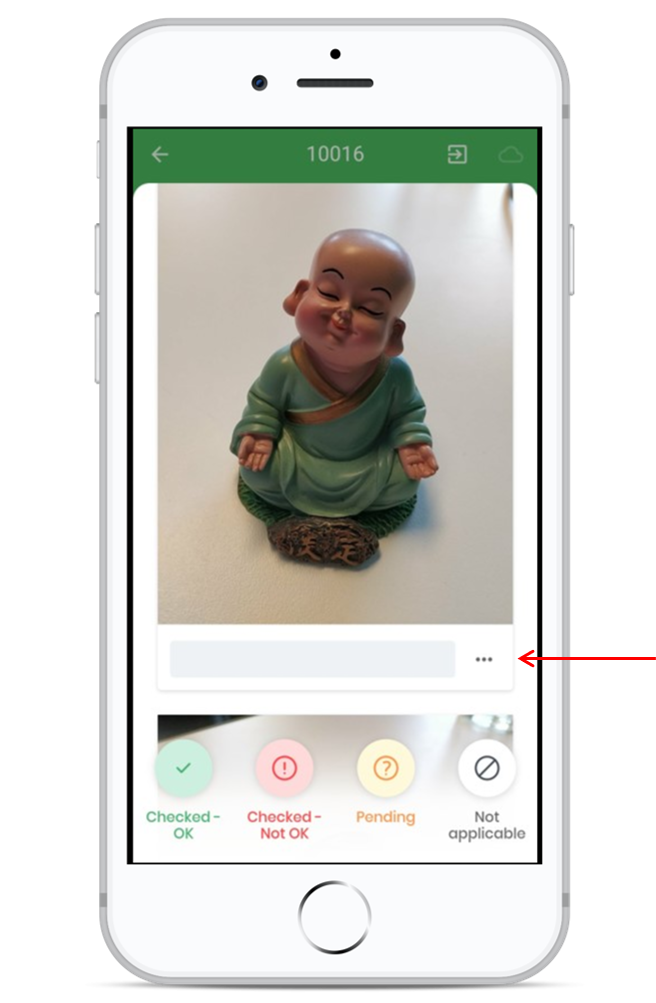 Sharing a single picture during an inspection (app) : Qarma support
