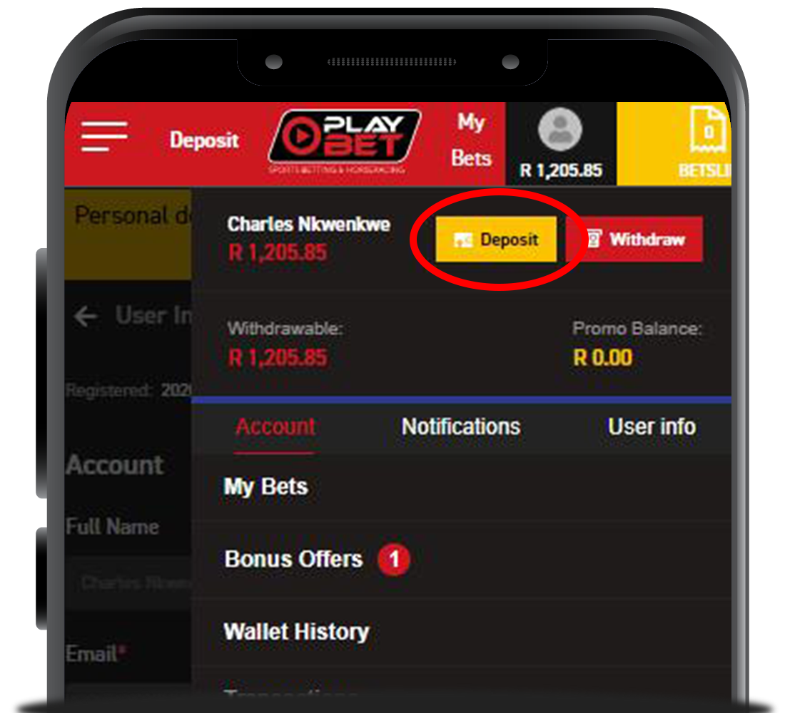 Deposit Options : Playbet Help Center