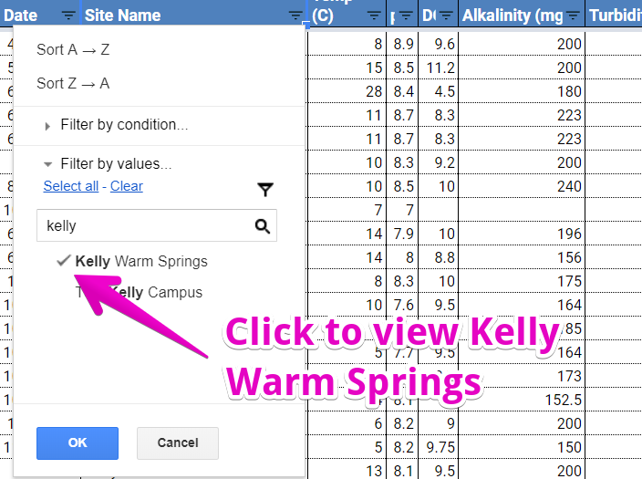 Using Filters to Shrink your Data in Google Sheets and Excel : Teton Science Schools Helpdesk