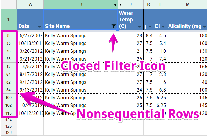 Using Filters to Shrink your Data in Google Sheets and Excel : Teton Science Schools Helpdesk