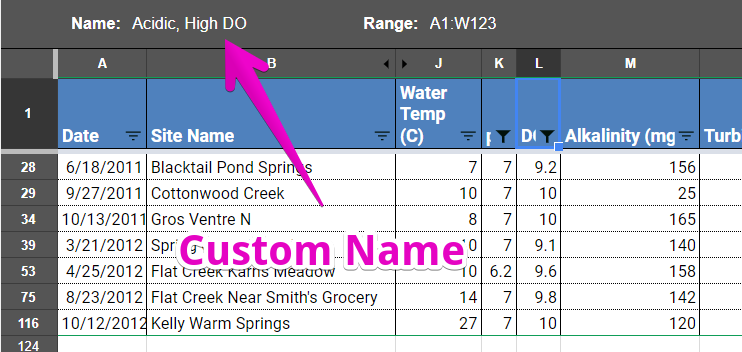 Using Filters to Shrink your Data in Google Sheets and Excel : Teton Science Schools Helpdesk