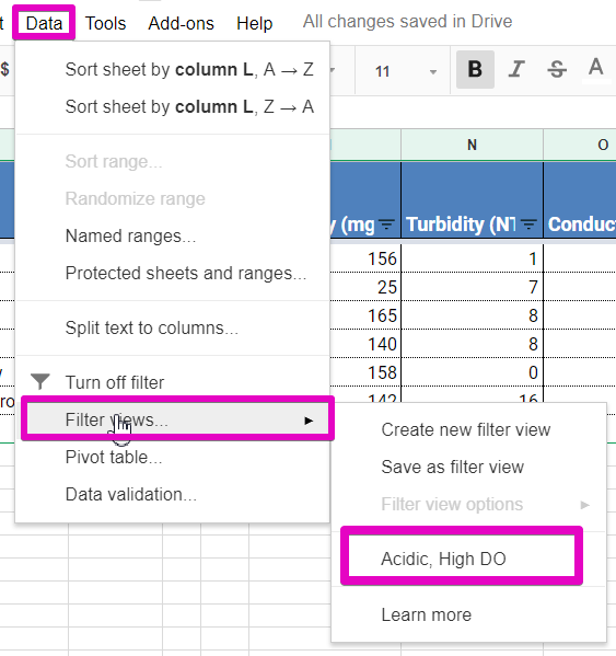 Using Filters to Shrink your Data in Google Sheets and Excel : Teton Science Schools Helpdesk