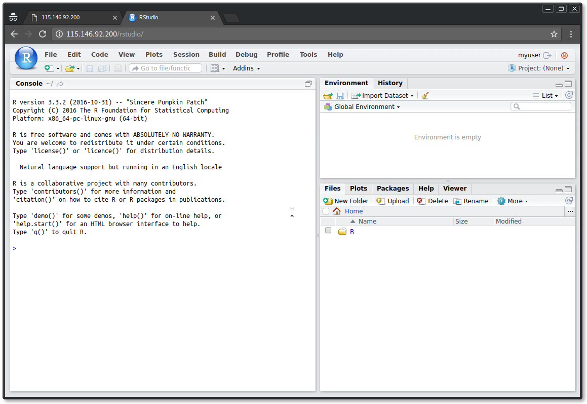 Launch RStudio Server from the nectar dashboard : eHelp Support