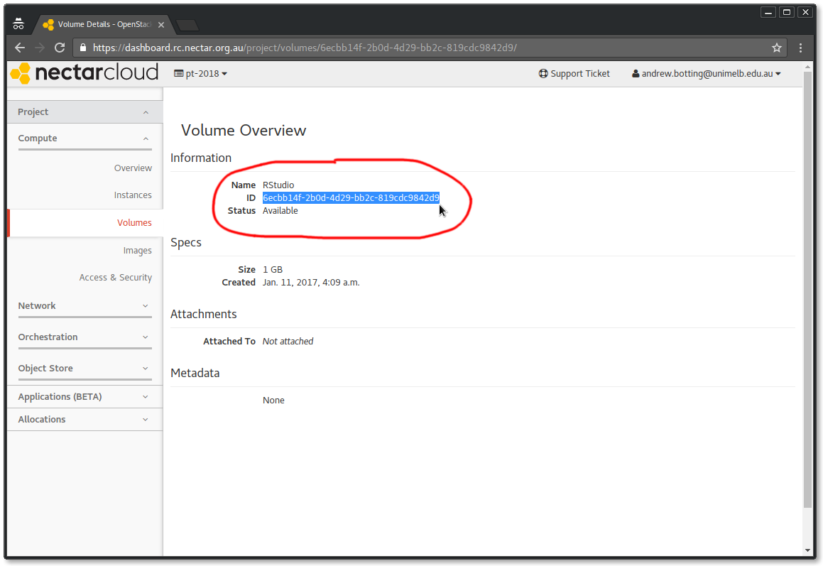 Launch RStudio Server from the nectar dashboard : eHelp Support