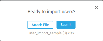 Import Bulk Users : Help