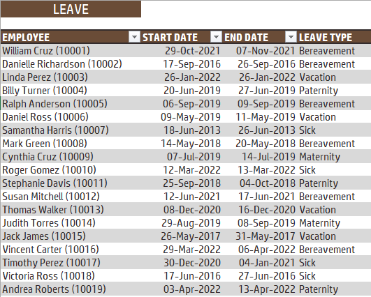 Entering Data in Excel - Leave Dashboard - Power BI : Indzara Support