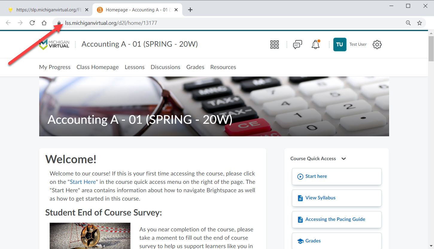 Ticket Submission Help | Michigan Virtual Support