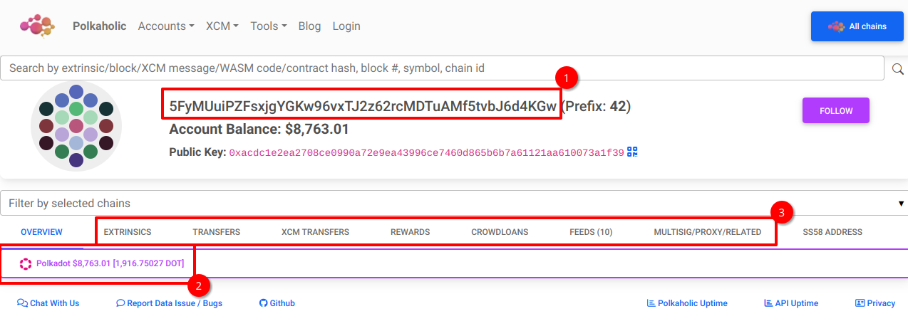 Where can I see the transaction history of my Polkadot account? | Polkadot