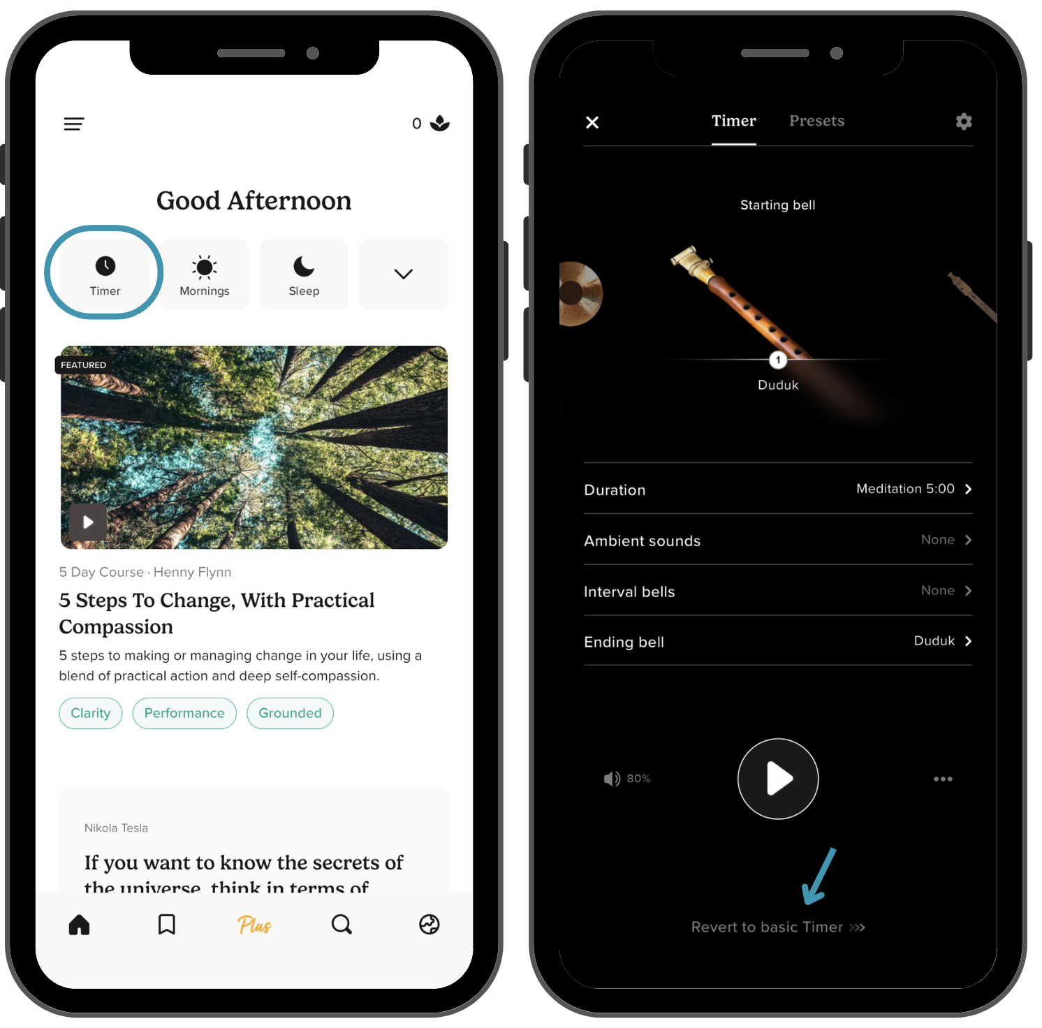 How Can I Access the Free Version of the Timer? : Insight Timer Support