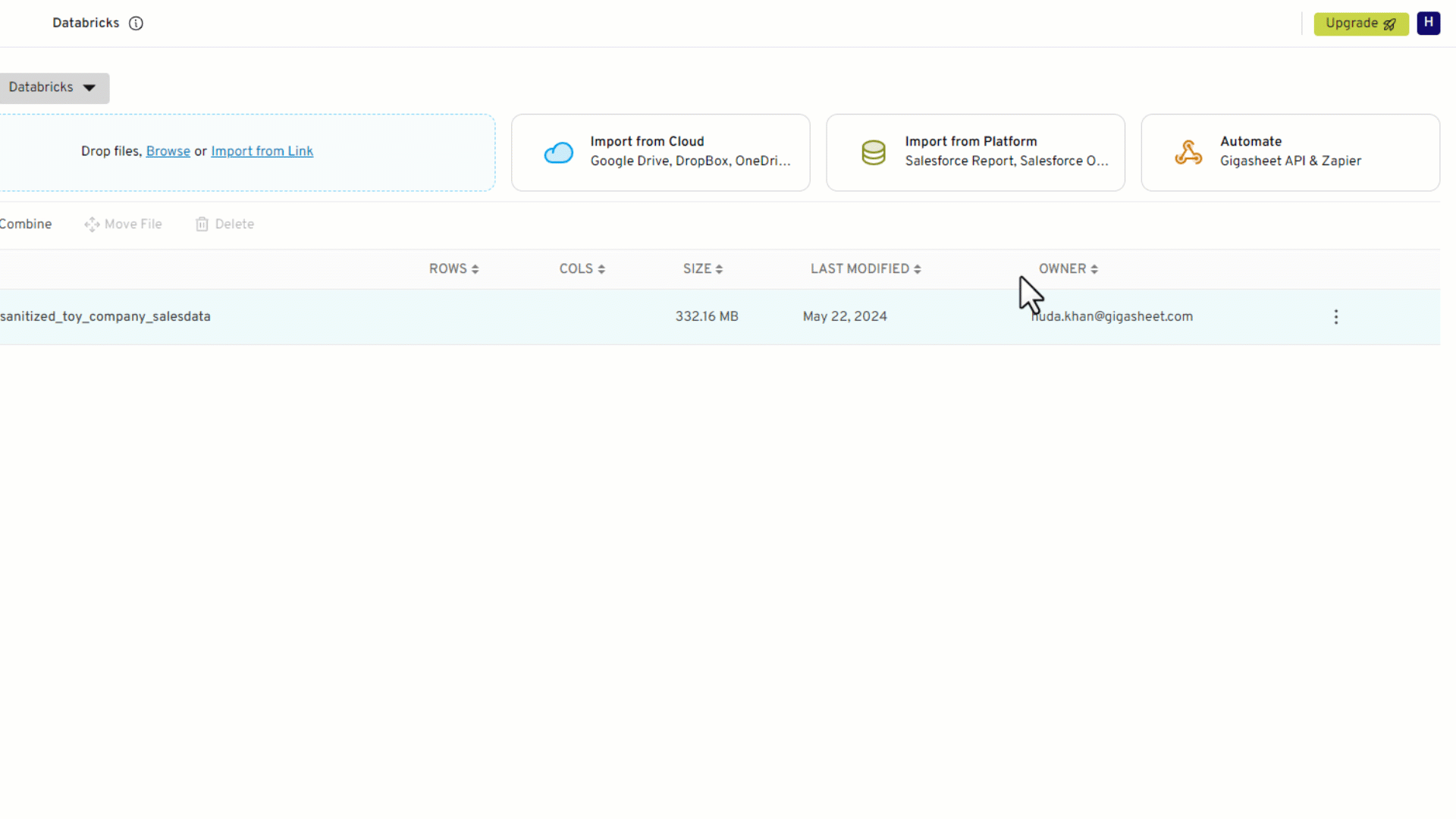 Gigasheet for Databricks : Support