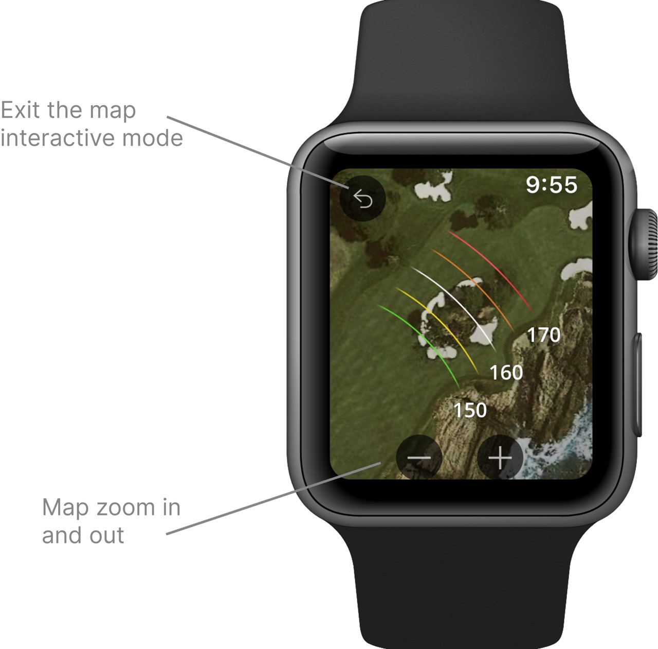 Apple Watch user guide