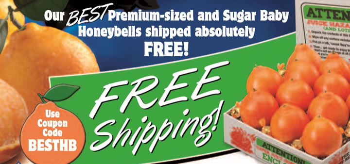 Florida Oranges | Fresh Fruit Delivery | Gregory's Groves