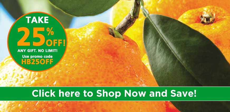 Florida Oranges | Fresh Fruit Delivery | Gregory's Groves
