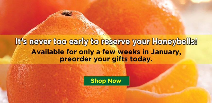 Florida Oranges | Fresh Fruit Delivery | Gregory's Groves