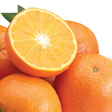 Ortanique Orange | Orange Hybrid | Florida