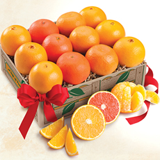 Citrus Fruits | Florida Citrus Fruit from Gregory's Groves