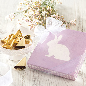 Harbor Sweets | Handcrafted New England Chocolates