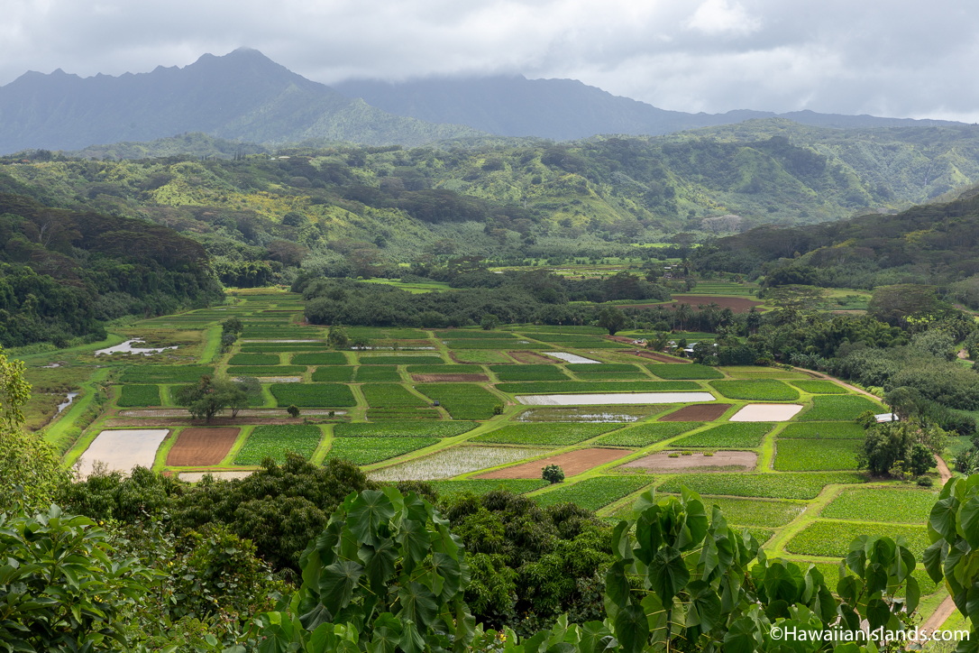 Top 20 Attractions You Can't Miss in Kauai - Hawaii