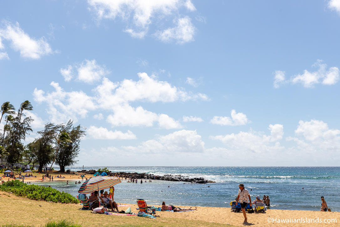 Top Five Places You Must Visit to Spot Sea Turtles in Kauai