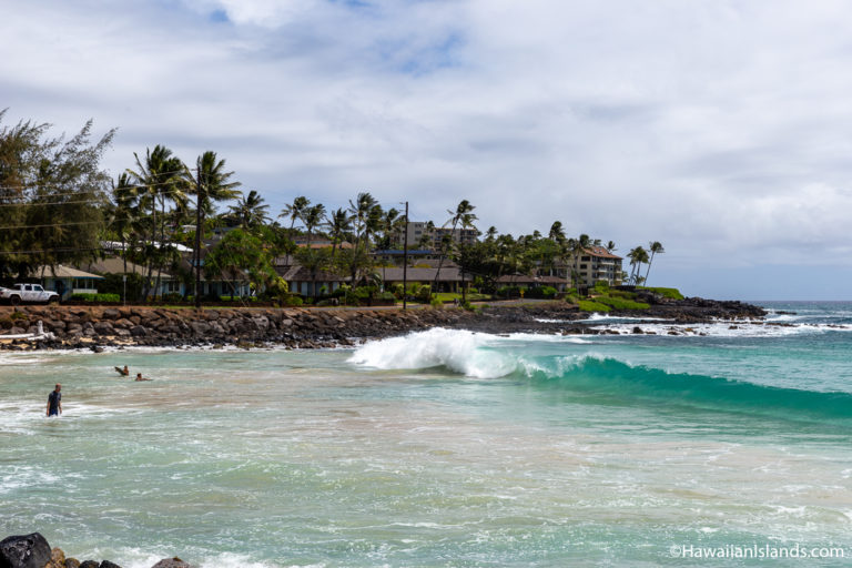 Top Five Places You Must Visit to Spot Sea Turtles in Kauai