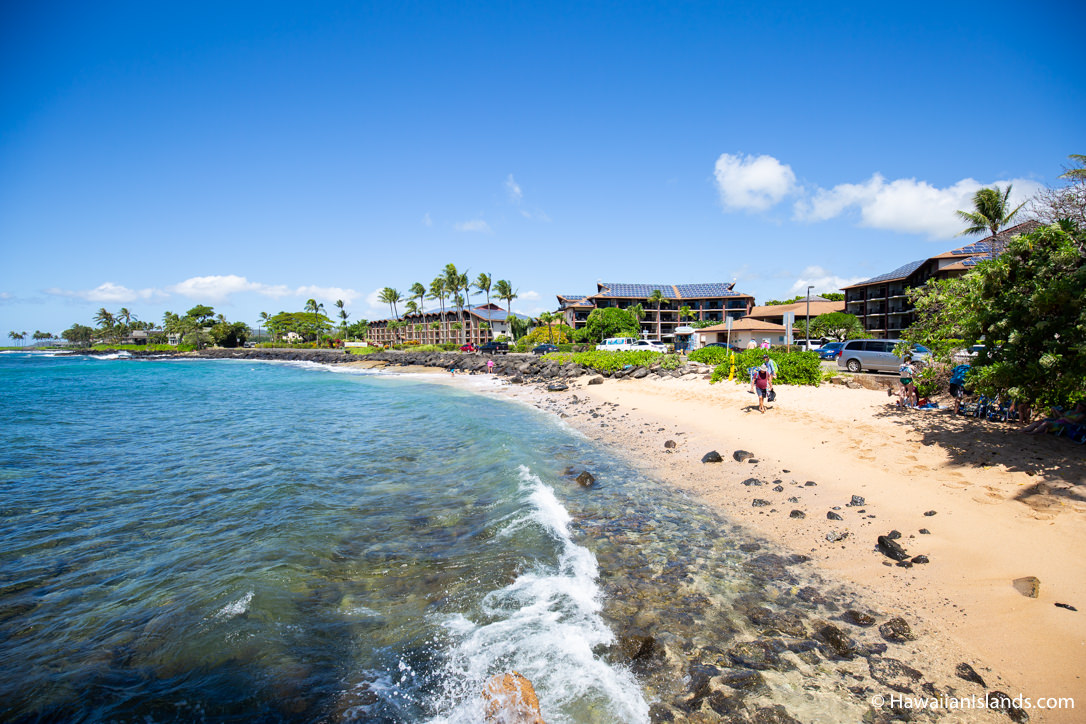 Top Five Places You Must Visit to Spot Sea Turtles in Kauai