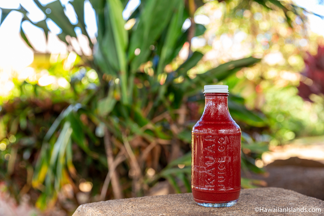 Best Acai Bowls and Fresh Juice on the Island of Kauai