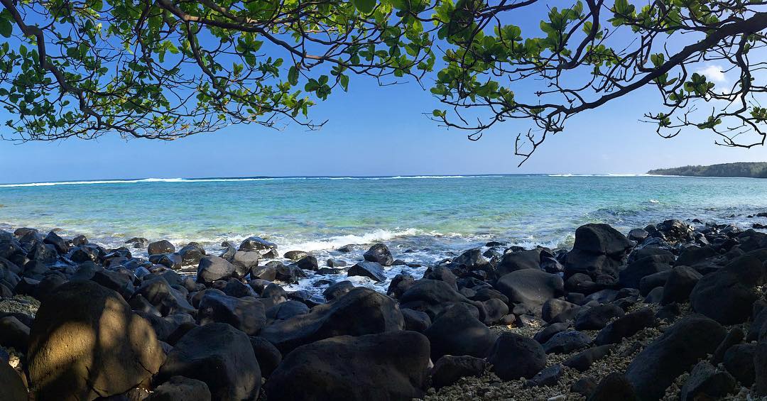 5 Can't-Miss Jurassic Park Locations in Kauai | Hawaii