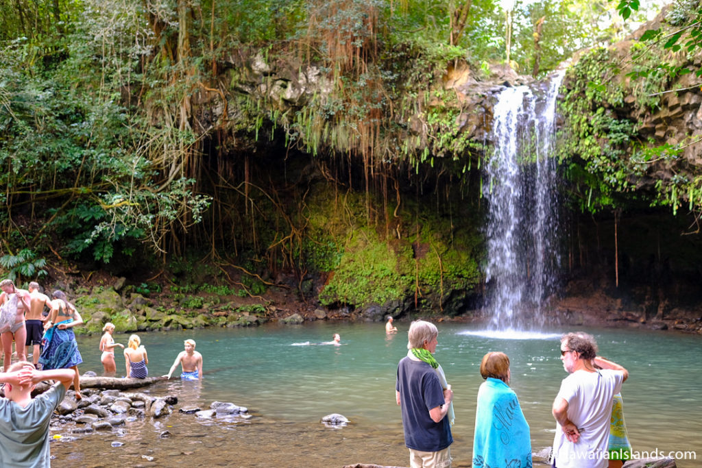 Maui Waterfall Guide: 10 Waterfalls You Can't Miss