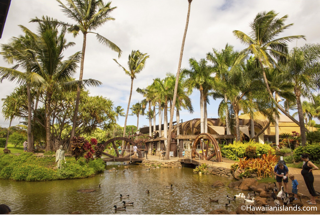 Everything You Need to Know Before Visiting Maui