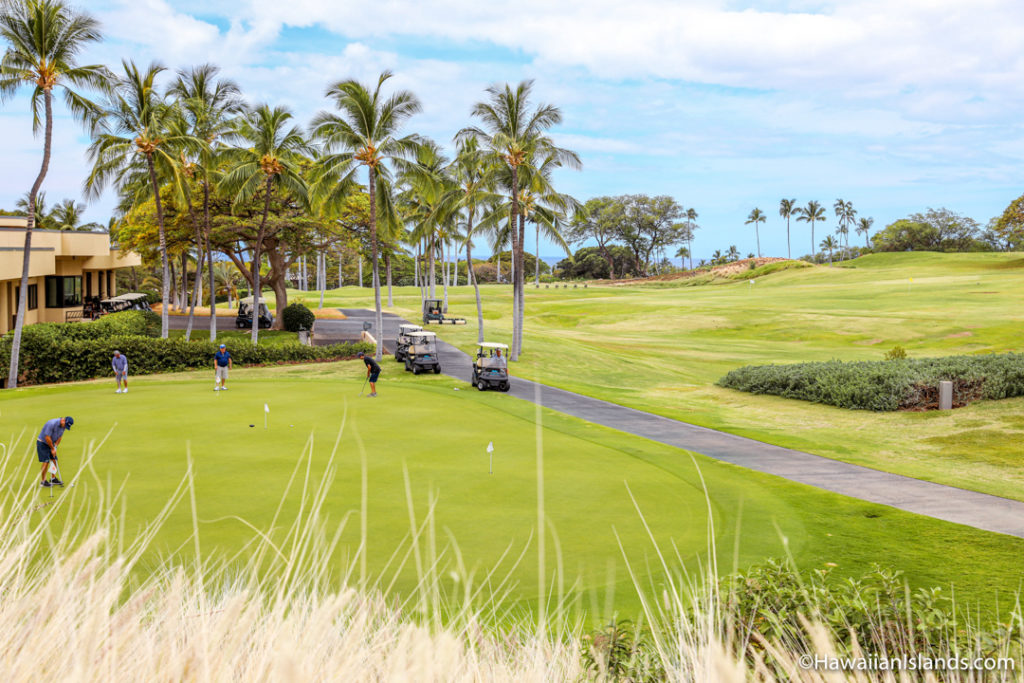 6 Incredible Golf Courses on the Big Island | Hawaii