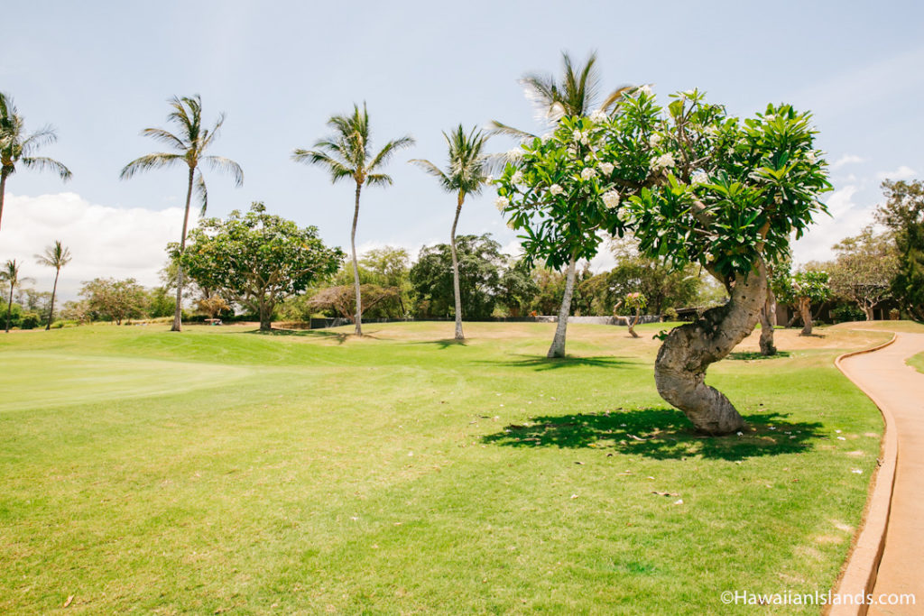 Maui Weather by Month: Best and Worst Times to Visit