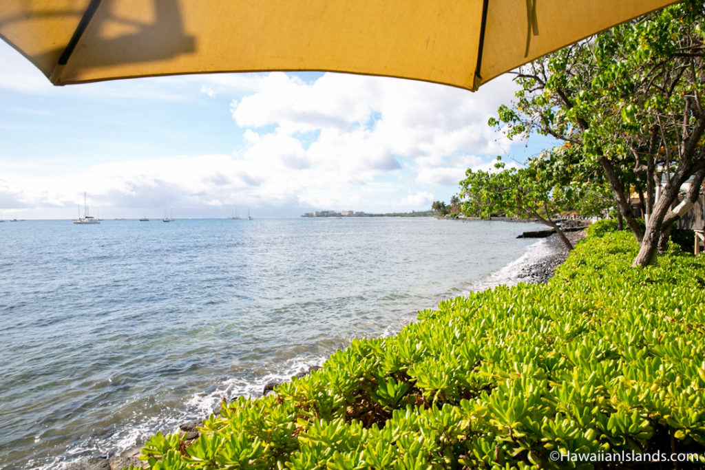 7 Things to Eat, See, and Do in Maui's Lahaina Town