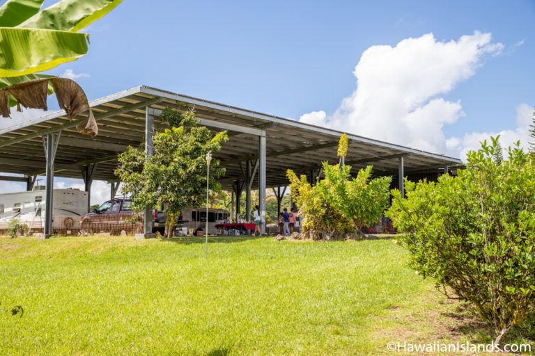 Coffee-Lovers Guide to the Best Coffee Shops on the Big Island | Review