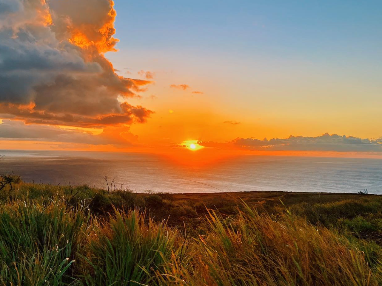 Everything You Need to Know Before You Visit Lanai