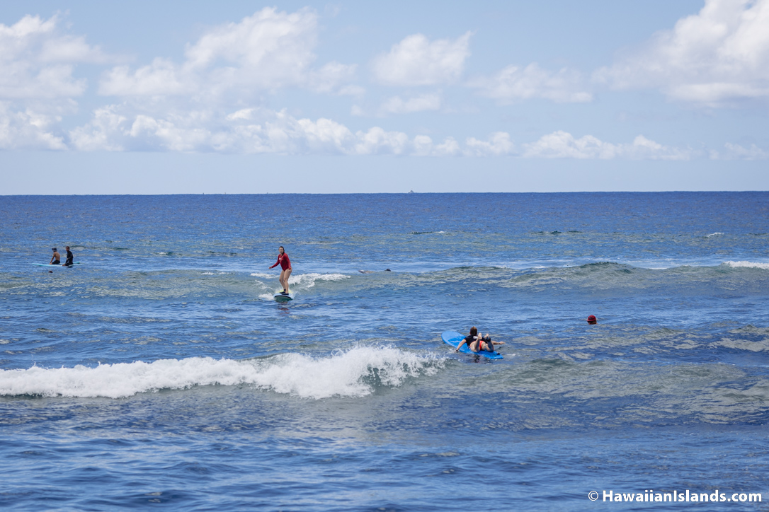 Ultimate Guide to Surfing in Maui, Hawaii - Everything You Need to Know