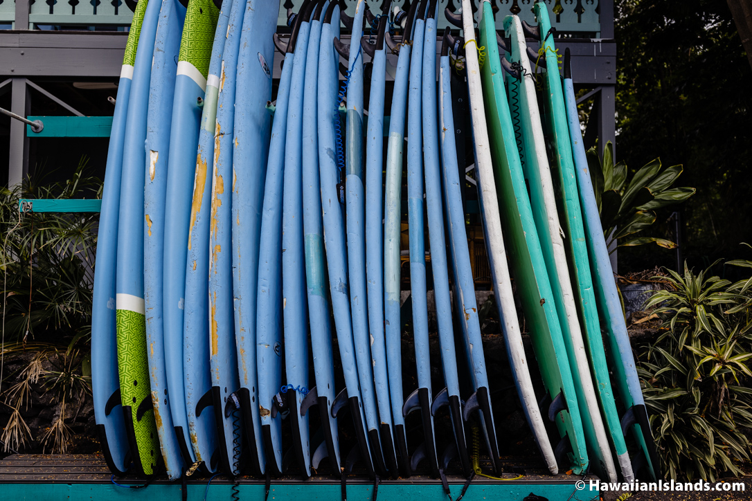 Ultimate Guide to Surfing in Maui, Hawaii - Everything You Need to Know