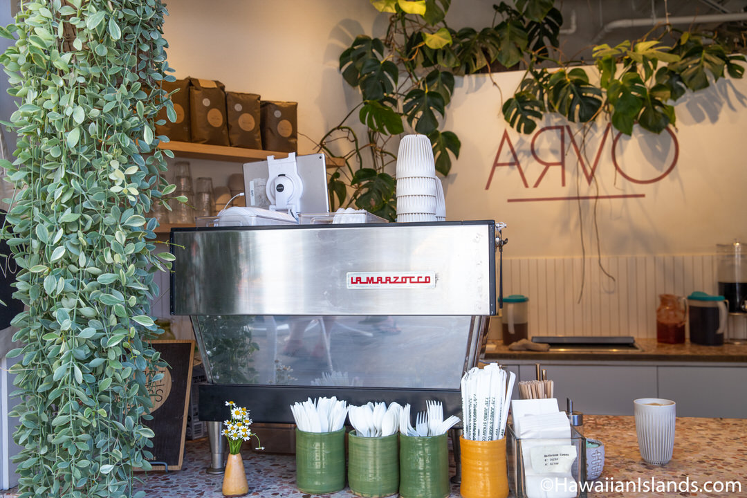 The Top 12 Best Coffee Shops in Oahu, Hawaii