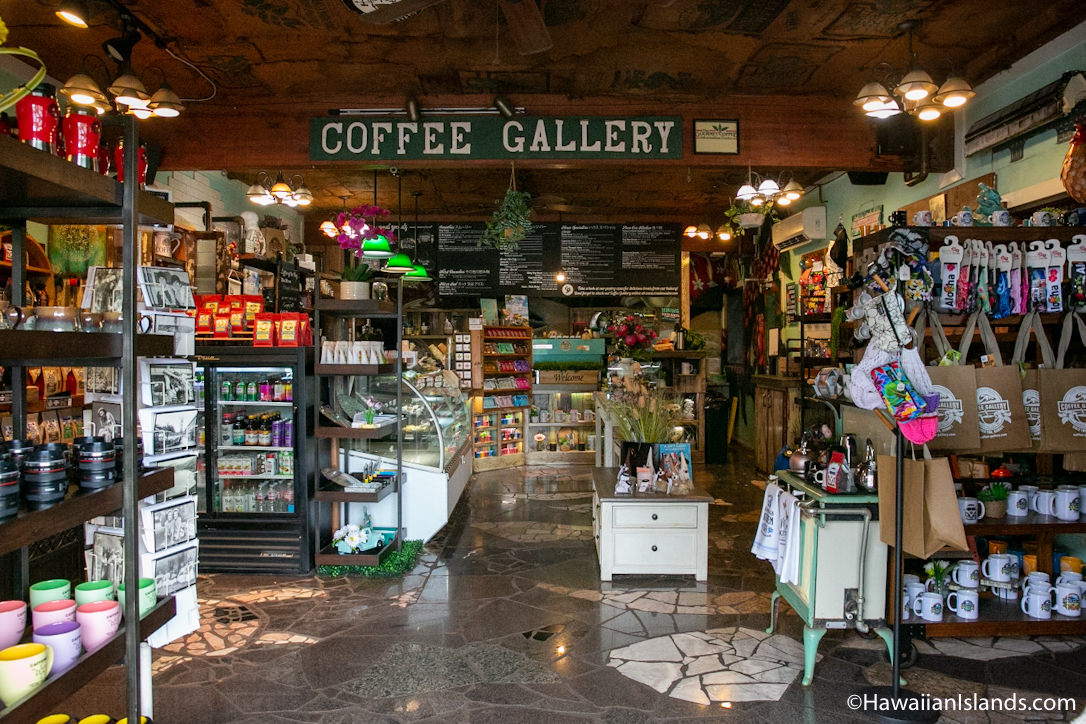 The Top 12 Best Coffee Shops in Oahu, Hawaii